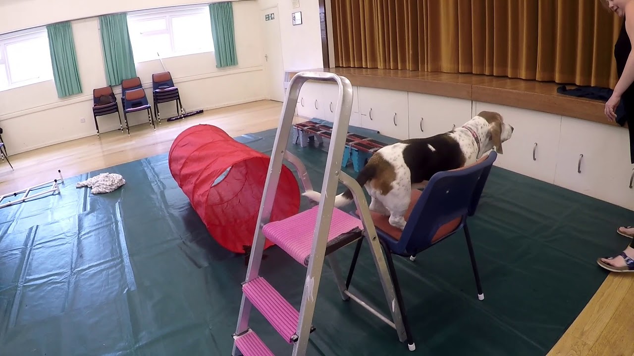 Climb a ladder - expert trick - YouTube