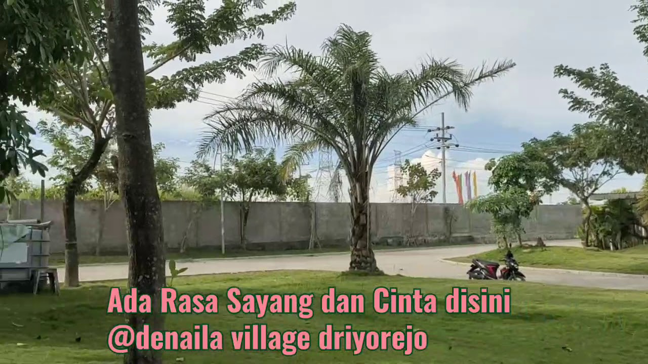 de_naila_village_ - YouTube