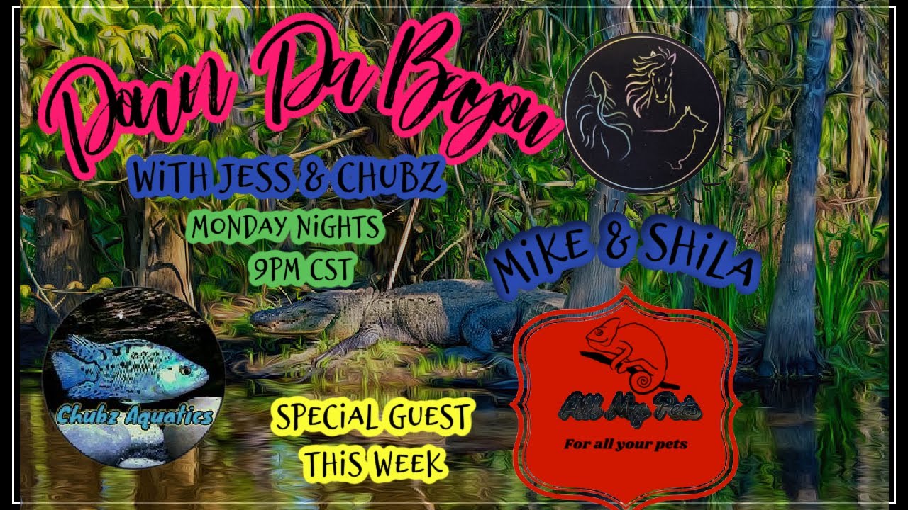 Down Da Bayou - YouTube