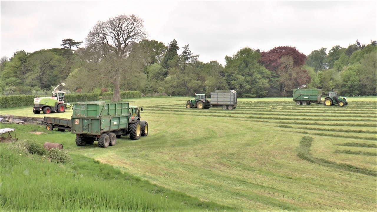 Silage 23' Claas 890 Lifting & John Deere's carting 14th May 2023 - YouTube