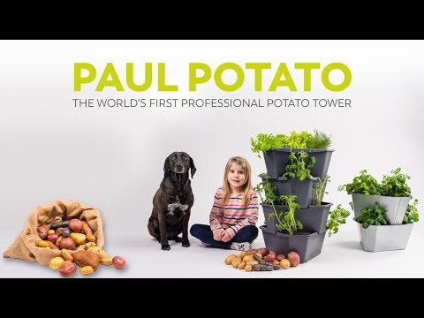 PAUL POTATO - the world's first professional potato tower by Gusta ...