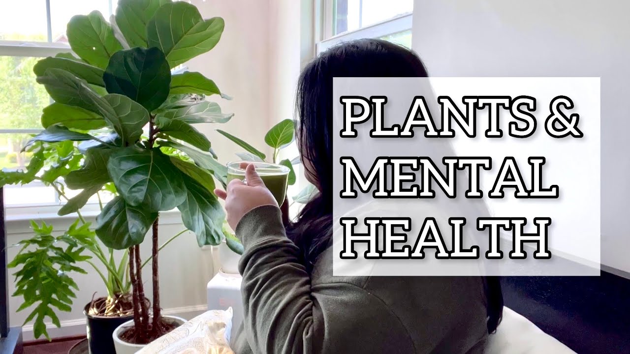 Do Plants REALLY Make People Happy? Mental Health Costs & Benefits of ...
