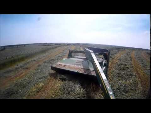 Mowing Oats/Weeds With a JD 4440 and a JD 835 MoCo - YouTube