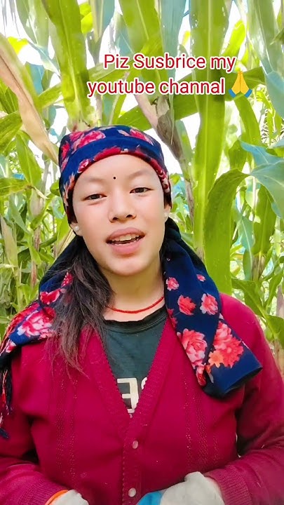 23 july 2024 piz saport my youtube channal🙏#pabi rana magar vlog - YouTube