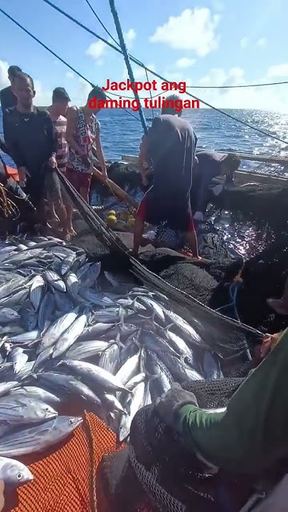 Jackpot ang dami naming nahuling tulingan sa pacific ocean #fishing #pacific #tunafish - YouTube