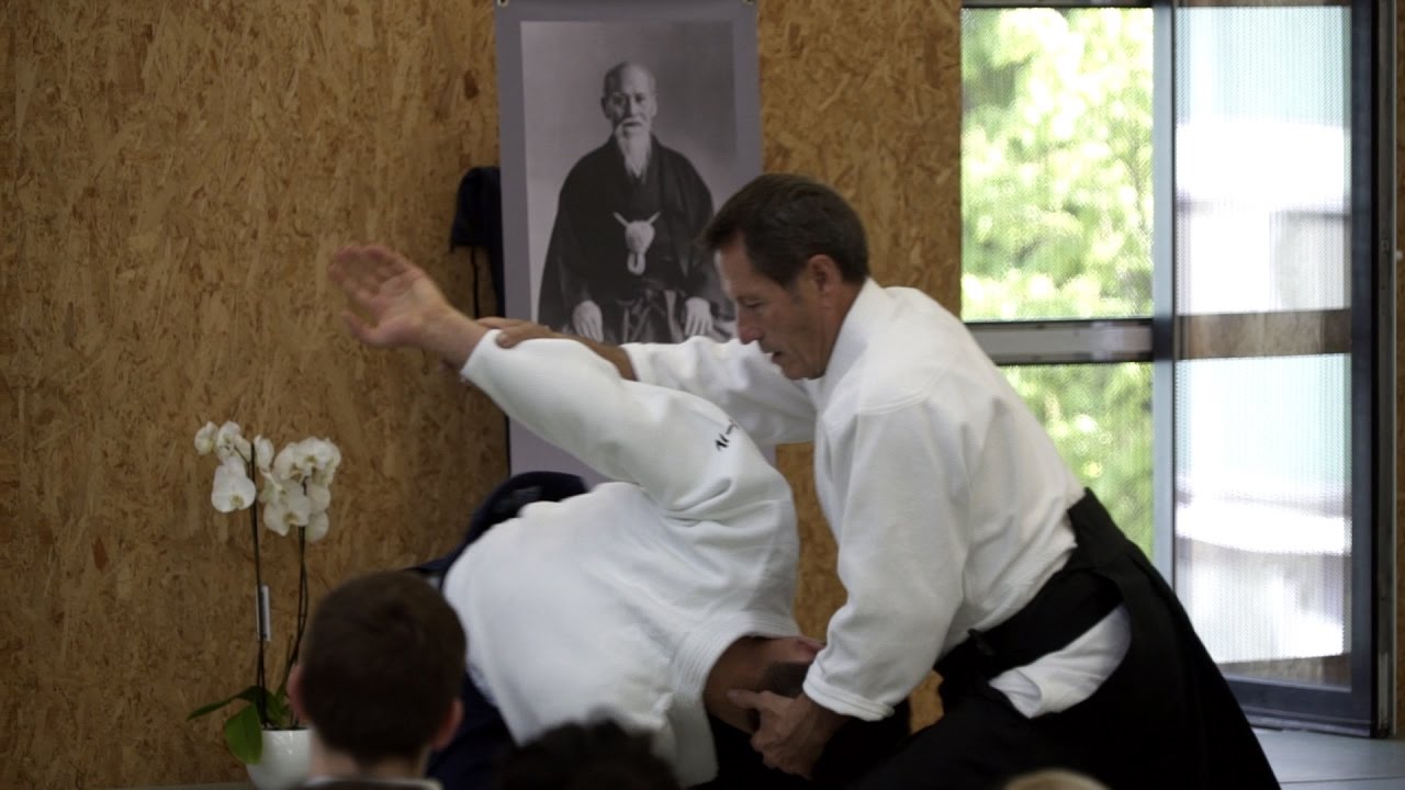 Aikido: Christian Tissier Stage de Paque 2017 - YouTube