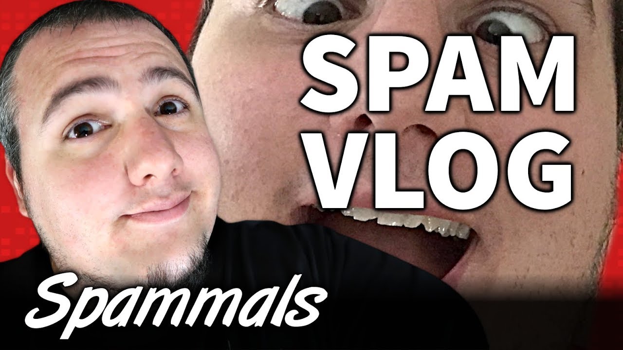 SPAM VLOG | #17 | August 2017 - YouTube