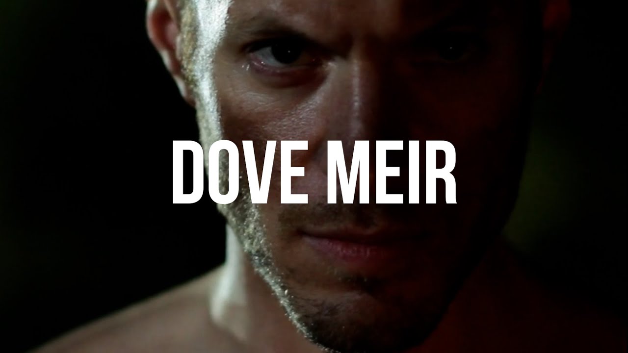 DOVE MEIR - YouTube