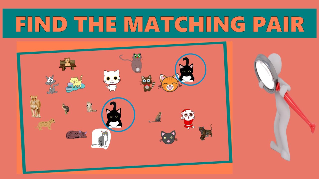 Find the Matching Pair #15 | Spot and Find - YouTube
