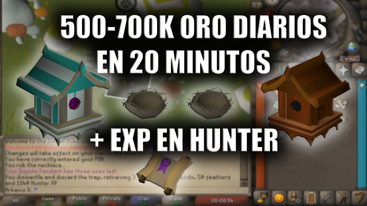 Guia de Birdhouses (Hunter) - OldSchool Runescape - YouTube