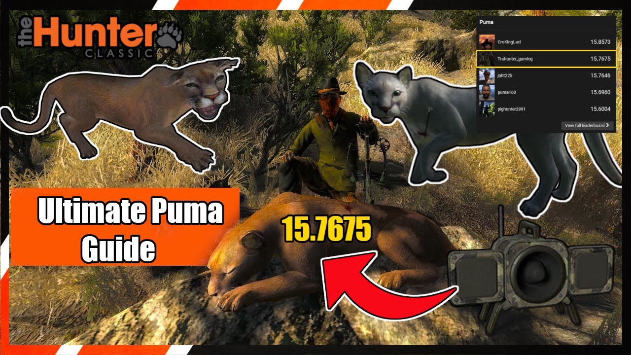 I'm One Step Away From Becoming the #1 Puma Hunter in theHunter Classic ...