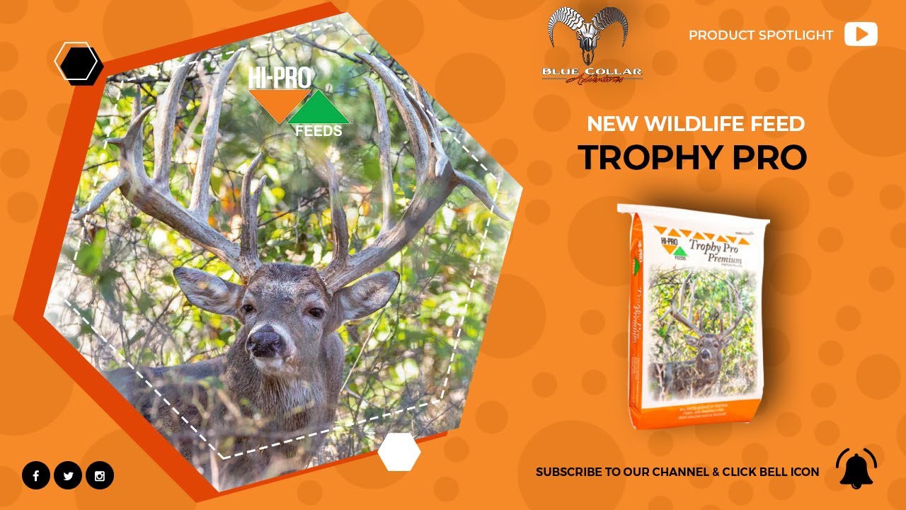 Trophy Pro Wildlife feed by HIPRO - YouTube
