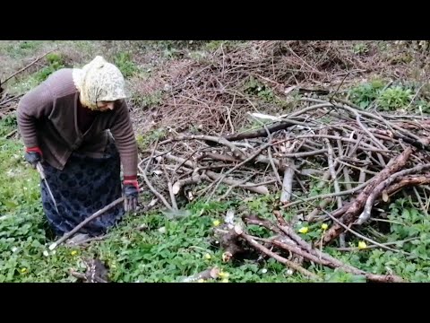Köyde Karadeniz Kadını 👩‍🌾 Eskisi Gibi Güçlü, Çalışkan Bir Ana
