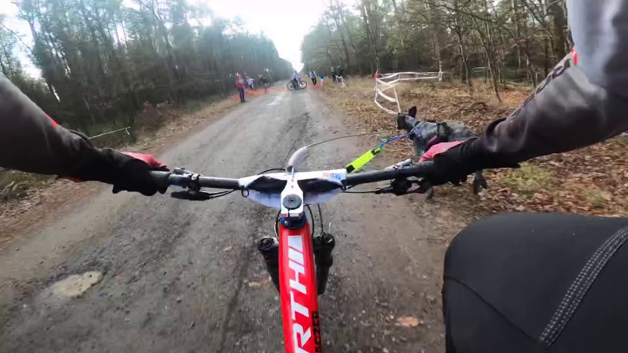 Lesson 5th- bikejoring Igor Tracz - YouTube