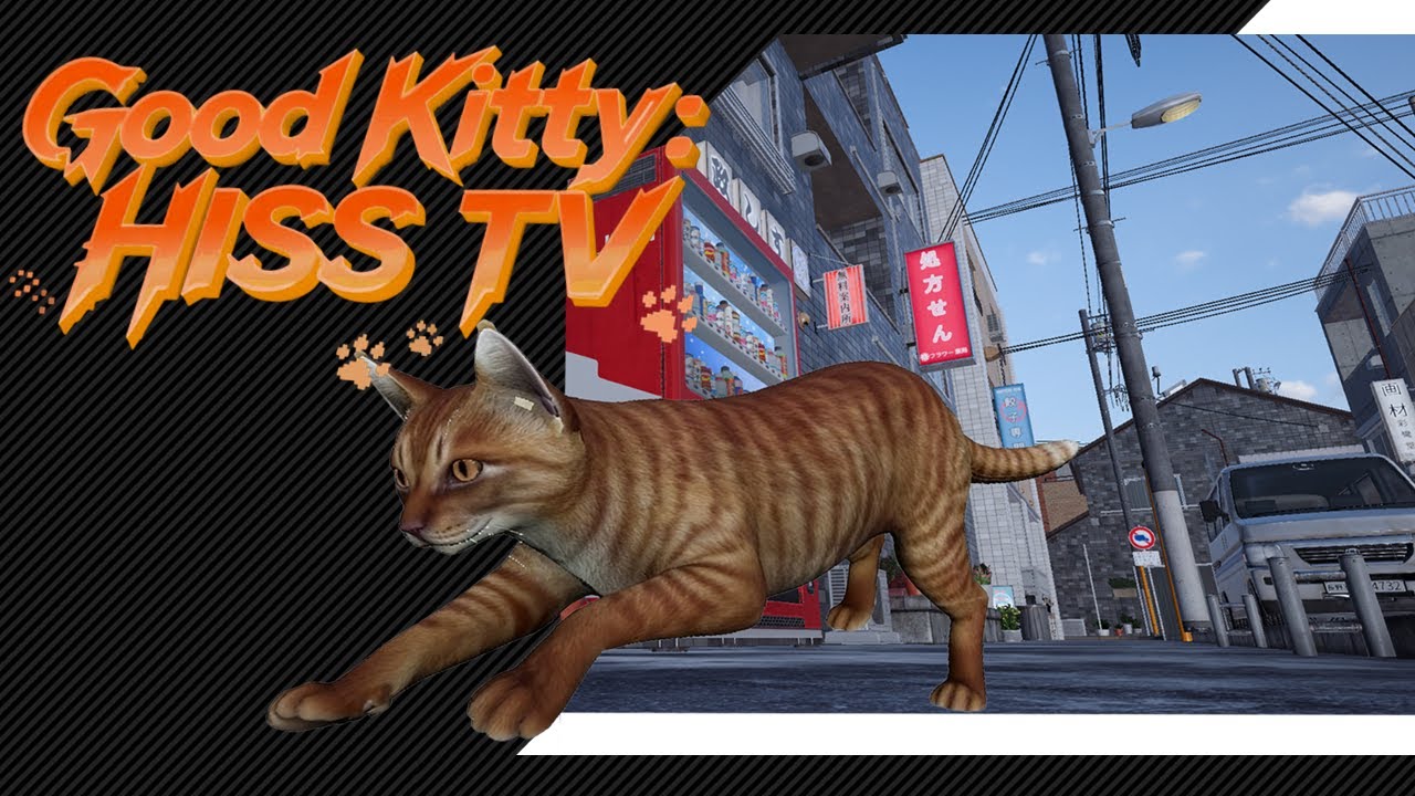 Good Kitty : HISS TV - YouTube