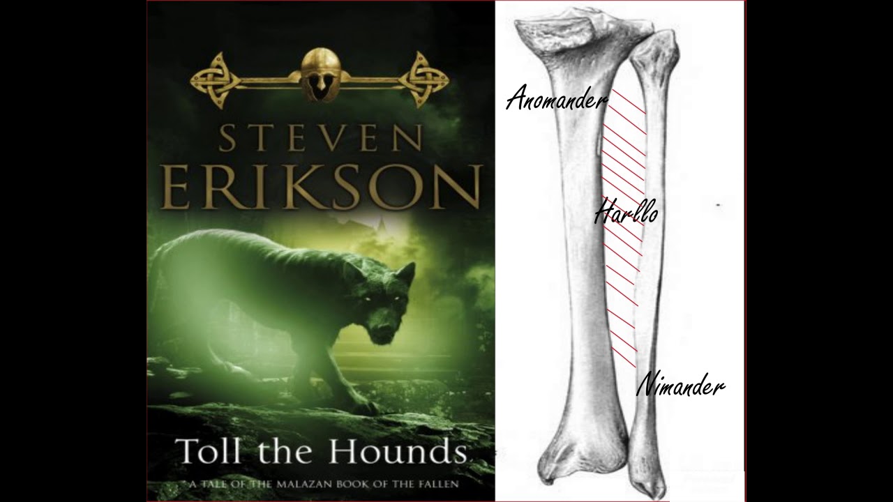 The anatomy of Toll the hounds - YouTube