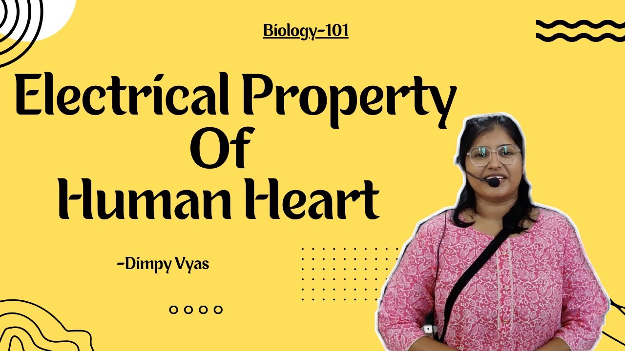 Electrical Property of the Human Heart - Biology Lecture - YouTube