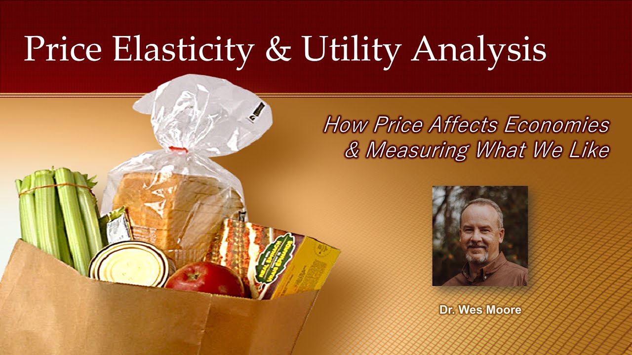 Price Elasticity & Utility Analysis - Lecture - YouTube