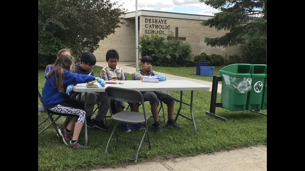 Ditching class to help the planet - YouTube