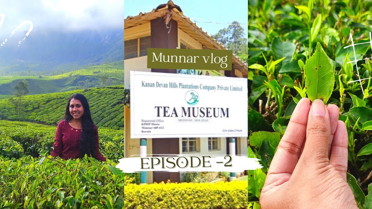 Kannan Devan Tea Museum Munnar | Munnar Travel Vlog | Places To Visit ...