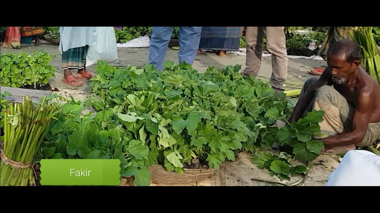 Village Vegetables Market & গ্রামের সবজীর বাজার অনেক সুন্দার ভিডিও টা ...