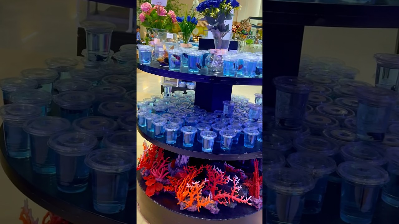 Bio centre #shortsfeed #saudi Dammam - YouTube