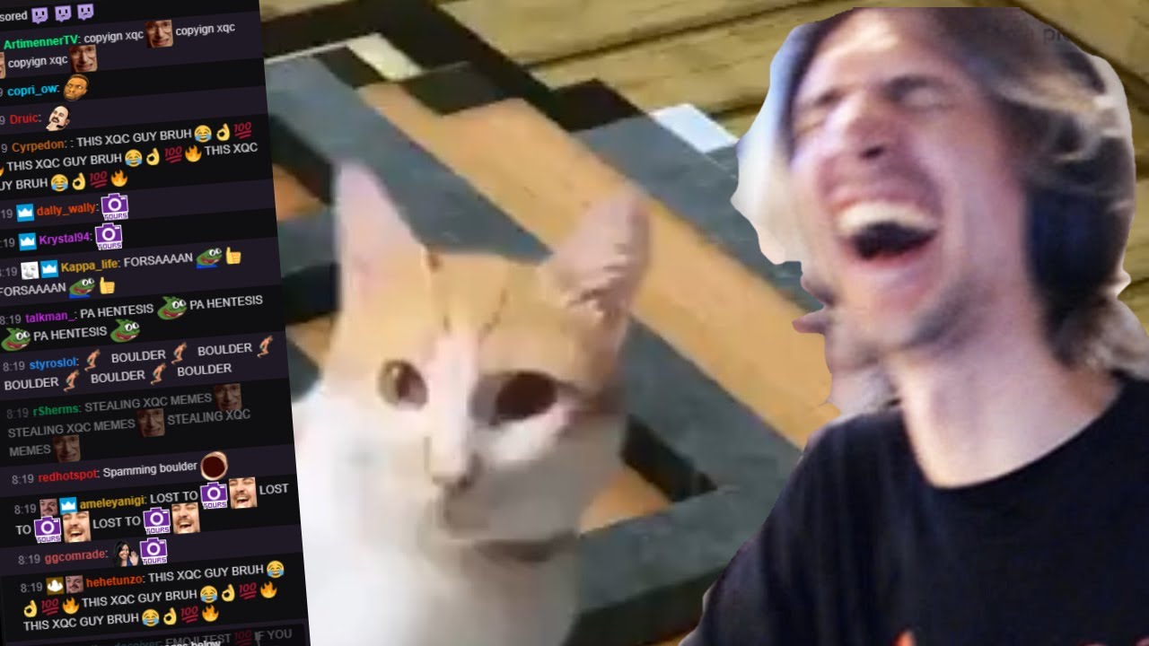 xQc Reacts To UNUSUAL MEMES COMPILATION V104 w/Chat - YouTube