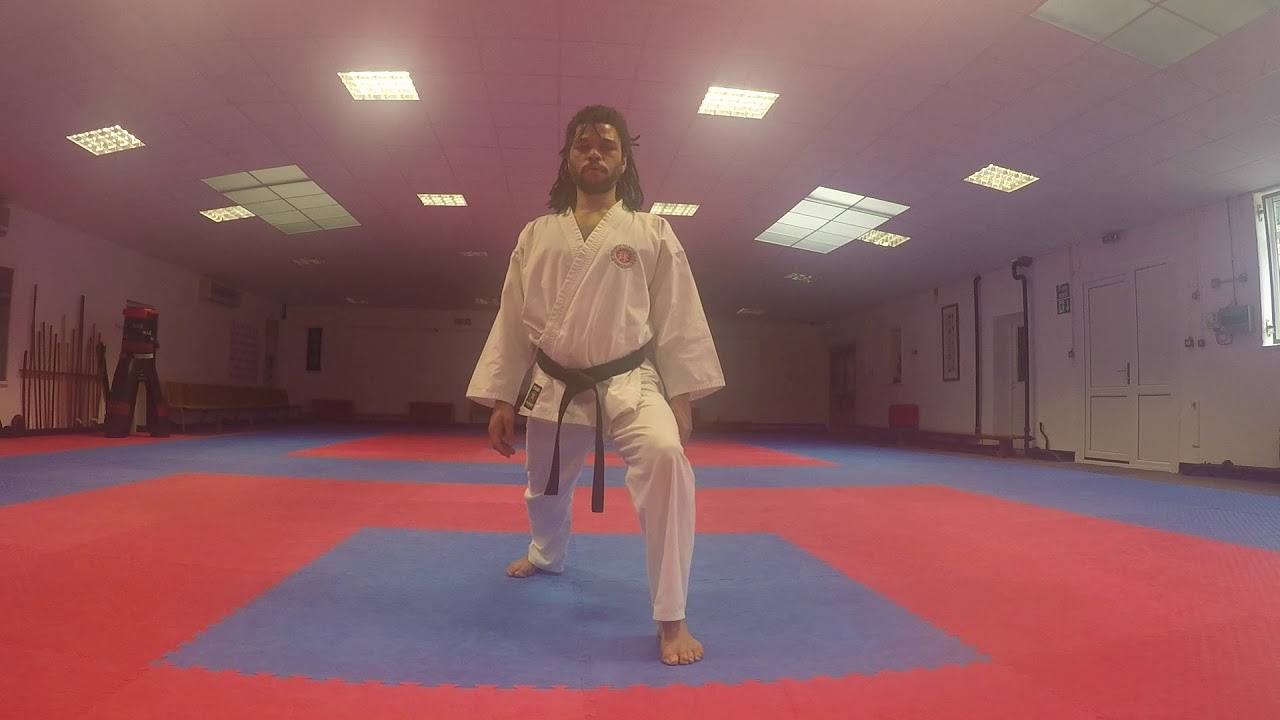 Zenkutsu Dachi and Mawate - 3 exercises for strong legs and training ...