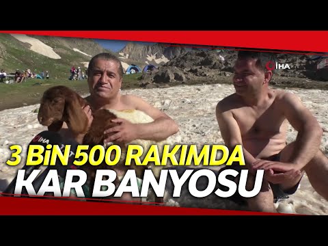 Sanatçı Aydın Aydın, Cilo Dağları’nda Kuzu İle Birlikte Kar Banyosu Yaptı