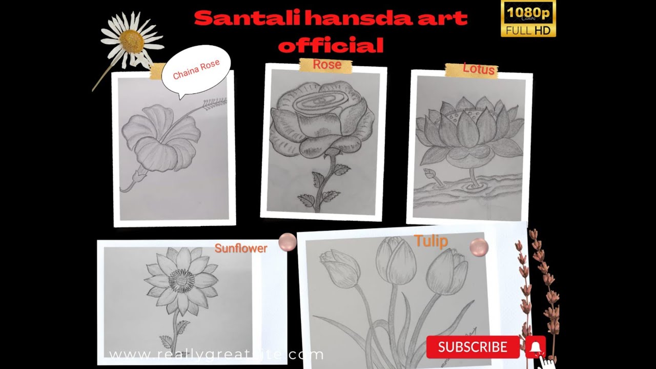 how To Draw five flowers with pencil colour || easy step by step ...