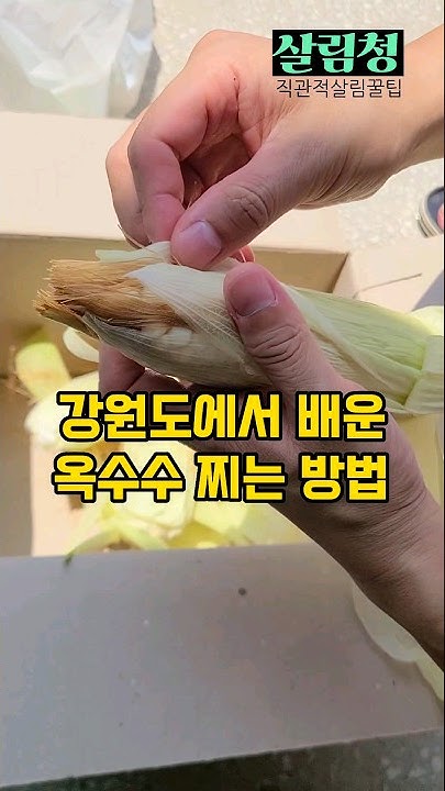 강원도에서 옥수수 직접 따며 배운 맛있게 찌는 방법 쉽고 티나는 살림꿀팁 살림팁 살림 살림정보 살림청 옥수수