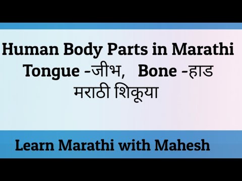 Marathi Learning I Human Body Parts I मराठी सिखे आसानी से - YouTube