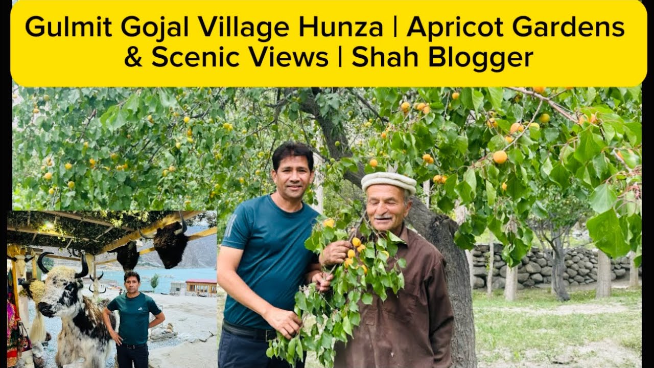Discovering the Beauty of Gulmit Gojal Village, Hunza | Apricot Gardens ...