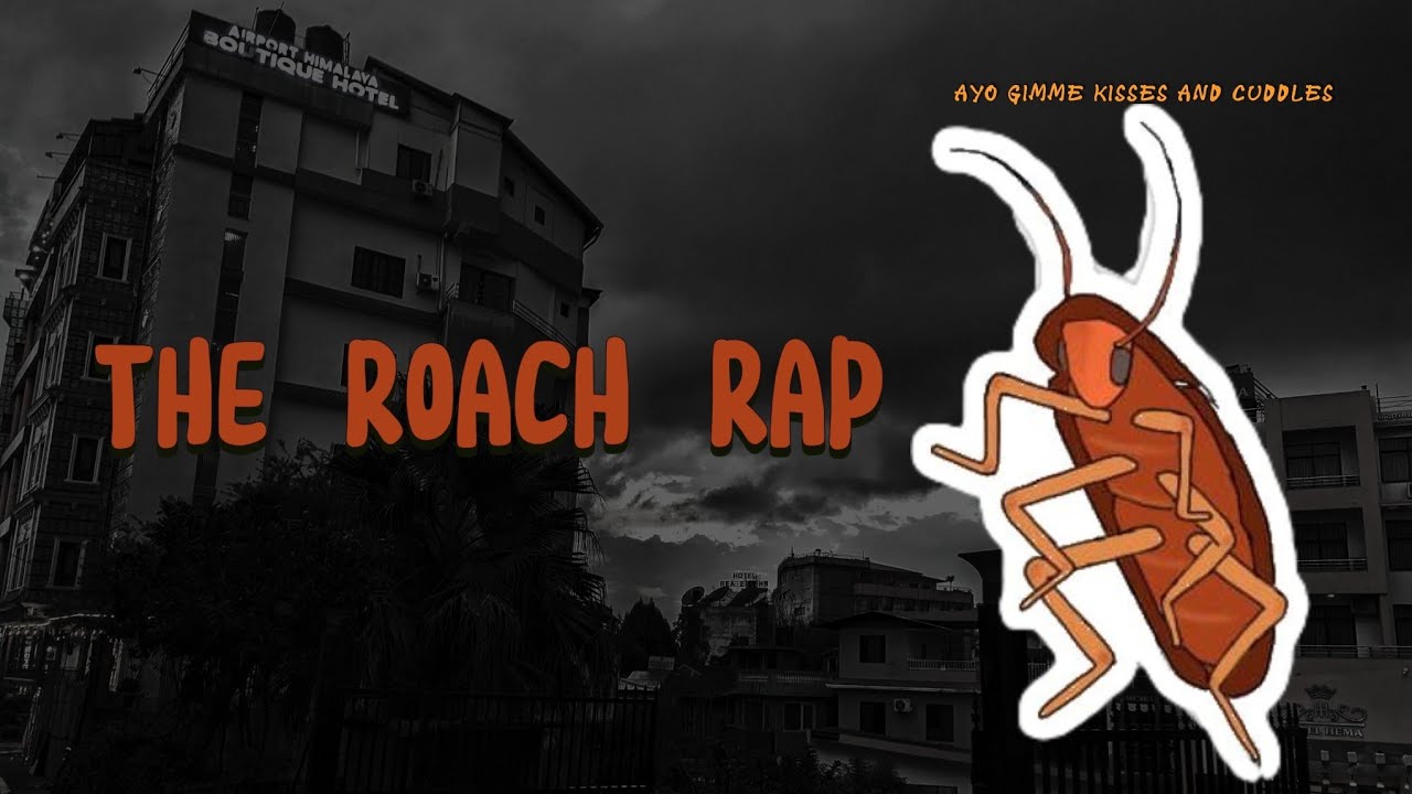 Montage: The Roach Rap 🪳 - YouTube
