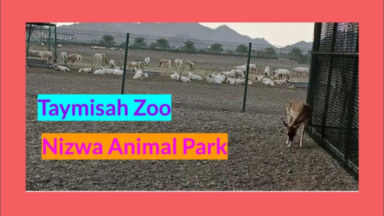 Nizwa Animal Park | Taymisah Zoo | A wonderful experience | Episode - 6 ...