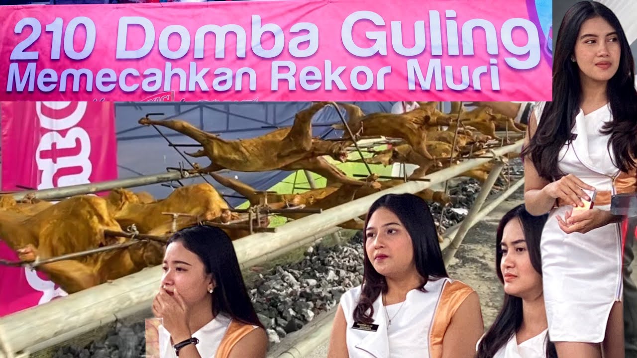 BUKAN JANDA GULING TAPI 210 DOMBA GULING MECAHKAN REKOR MURI - YouTube