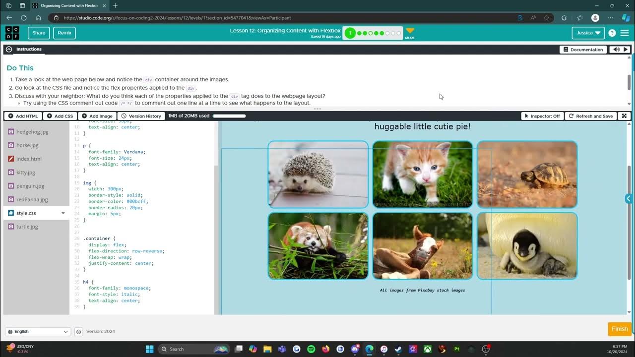 Code.org - CS Discoveries - Unit 2: Web Development - Lesson 12: Level 1 - YouTube