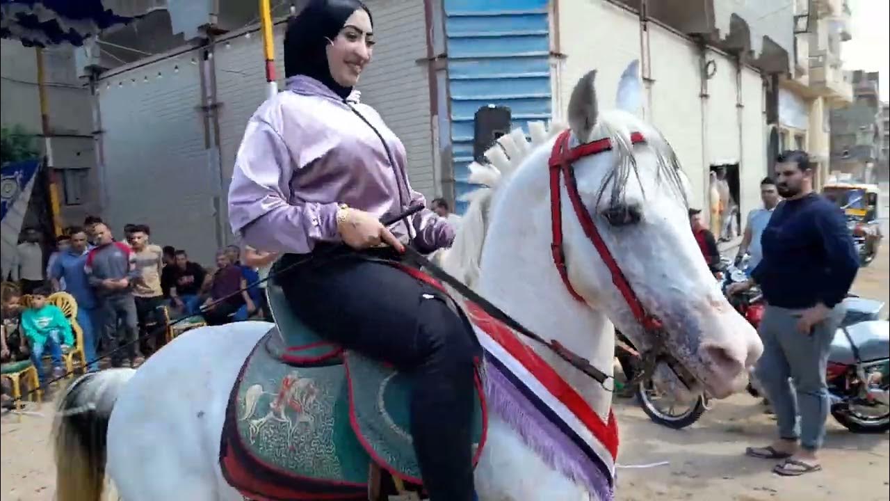 احلي رقص خيل مع عبير Youtube