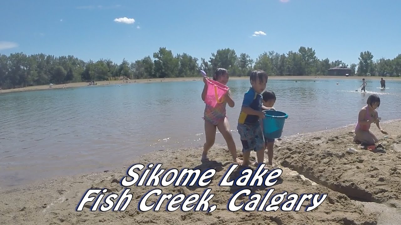 Sikome Lake Fish Creeek Calgary - YouTube