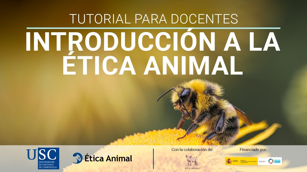 Cómo introducir la ética animal en tus clases - YouTube