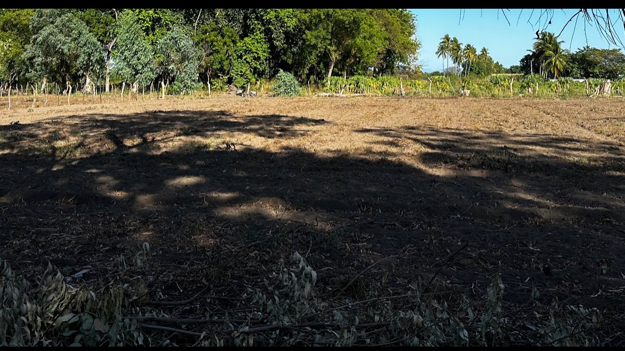 LOTE GRANDE 20x50 CERCA DEL AEROPUERTO | CRV EL SALVADOR VENDIDO - YouTube