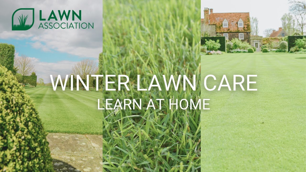 WINTER LAWN CARE | MOWING, MOSS, AERATION | Lawn Association - YouTube