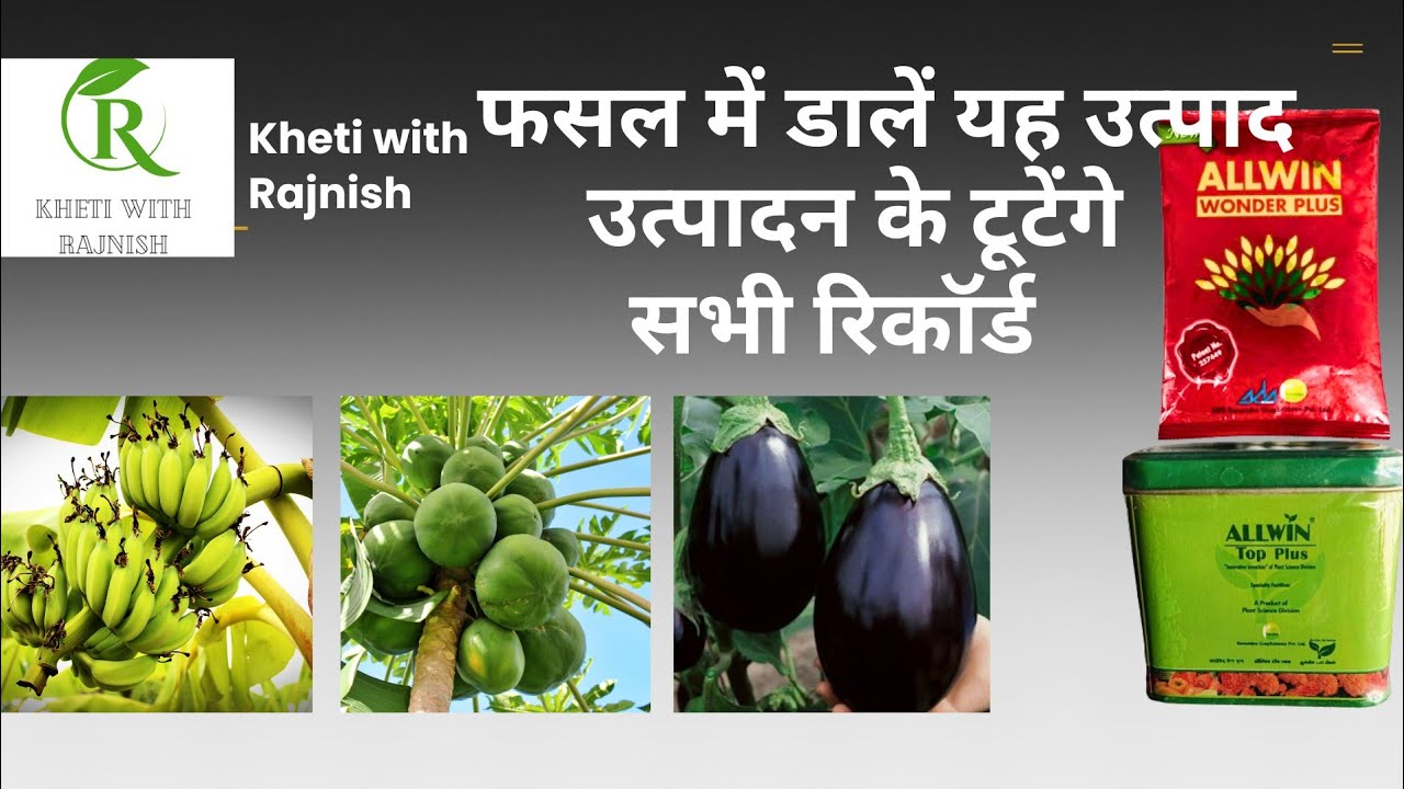 Allwin wonder plus | Allwin top plus | पपीता बैंगन केला खेती में देखे ...