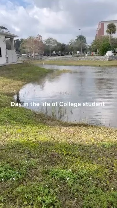 Day in the life of college student#students#college#study#chemistry#smoothie #shorts - YouTube