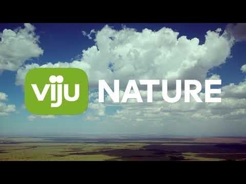 Телеканал viju Nature - YouTube