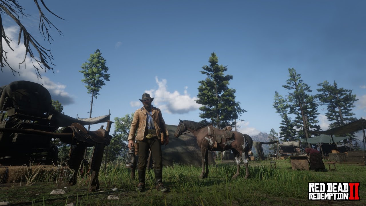 Red Dead Redemption 2 - how to reveal much of the map beginning of ...