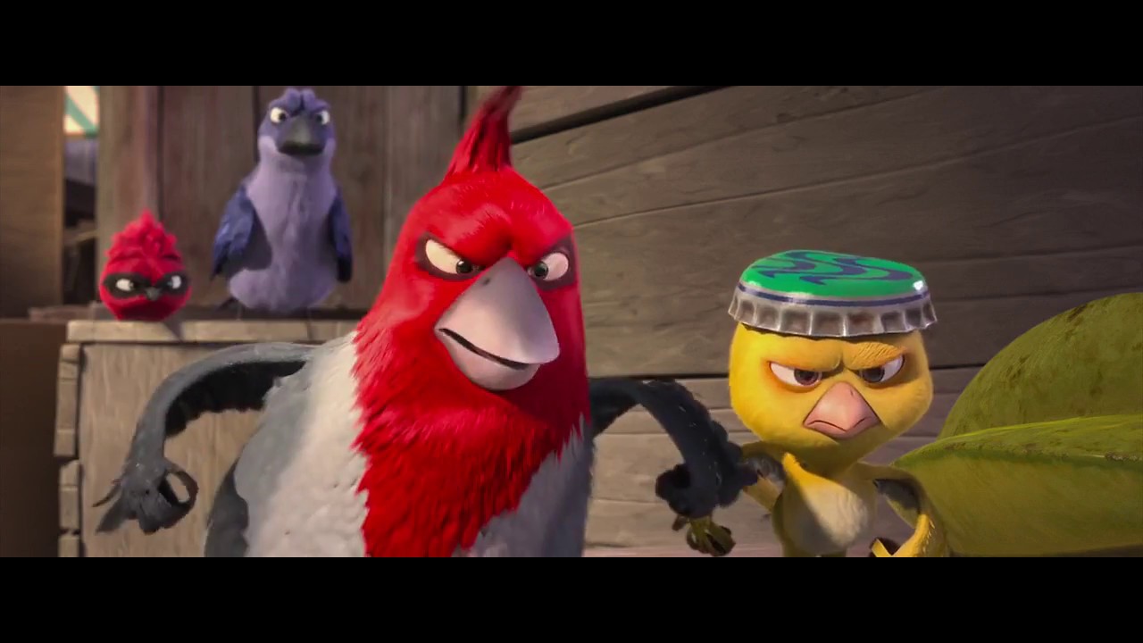 The dance and fight of birds with monkeys best seen of Rio hindi - YouTube