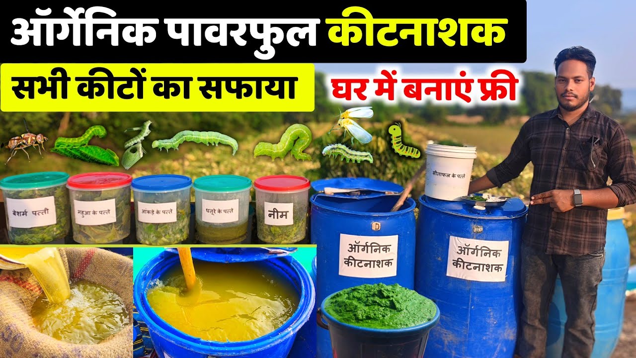 महंगे कीटनाशकों से कई गुना ताकतवर ऑर्गेनिक कीटनाशक🌱Organic kitnashak🐛 ...