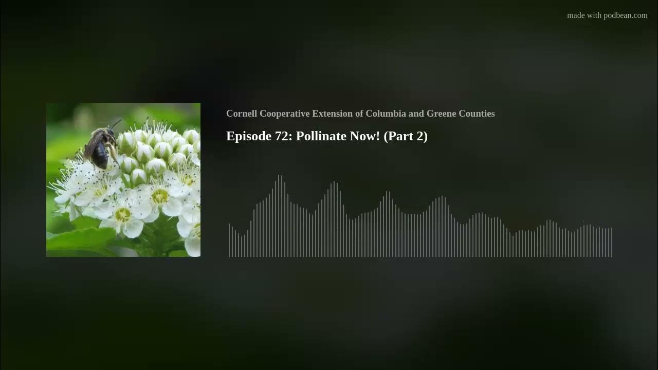 Episode 72: Pollinate Now! (Part 2) - YouTube