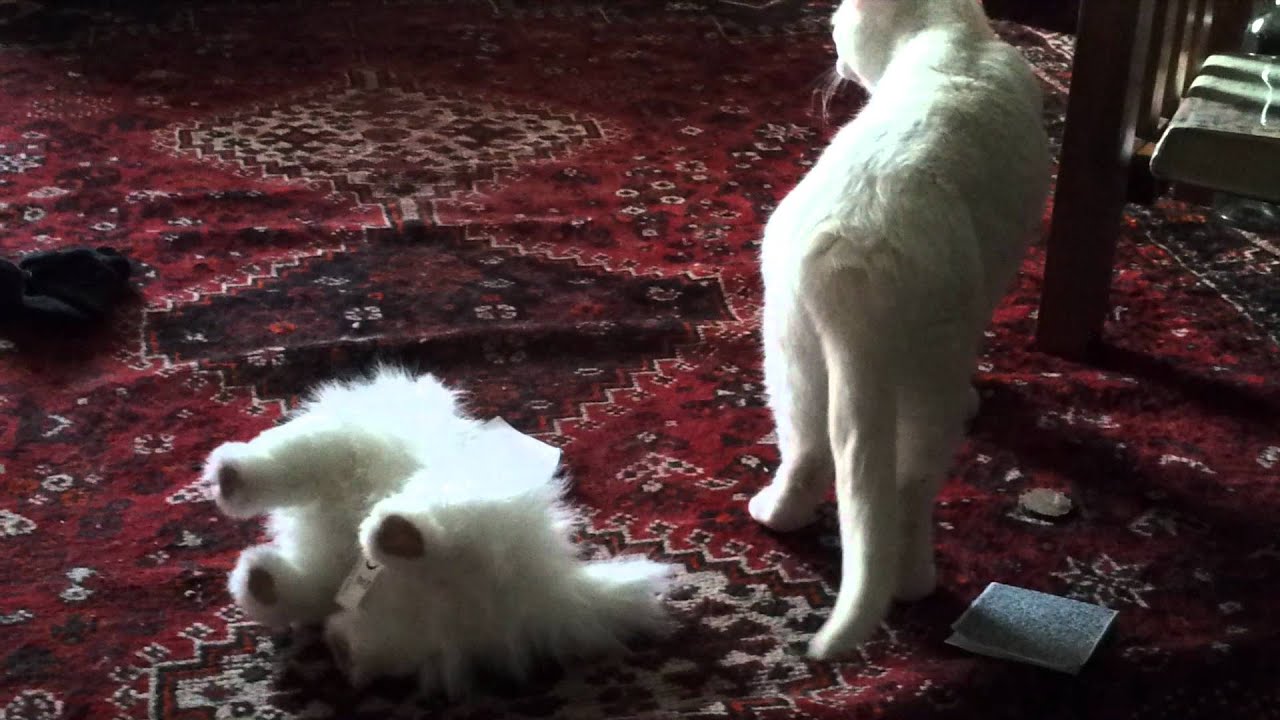 Its not real, Buki. - YouTube